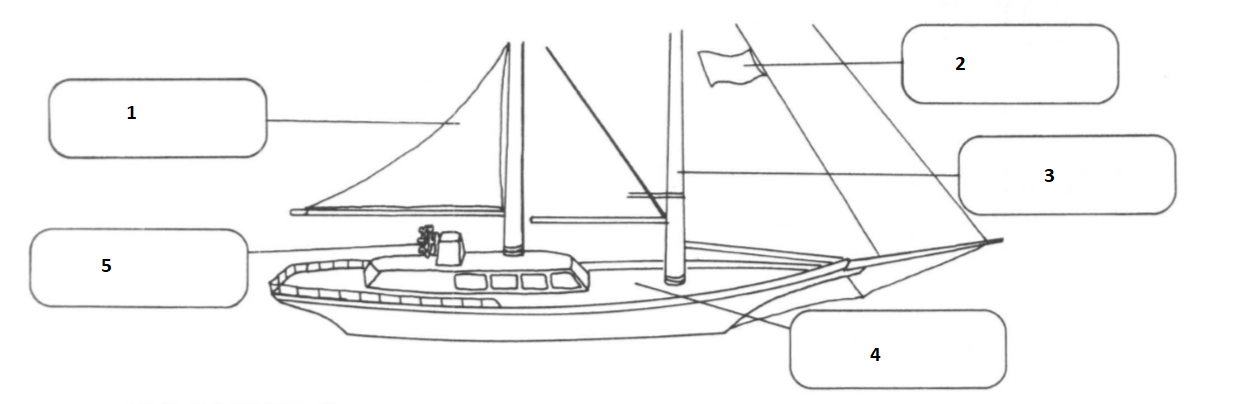 The Sea - The Speaking Cats - Online Language School